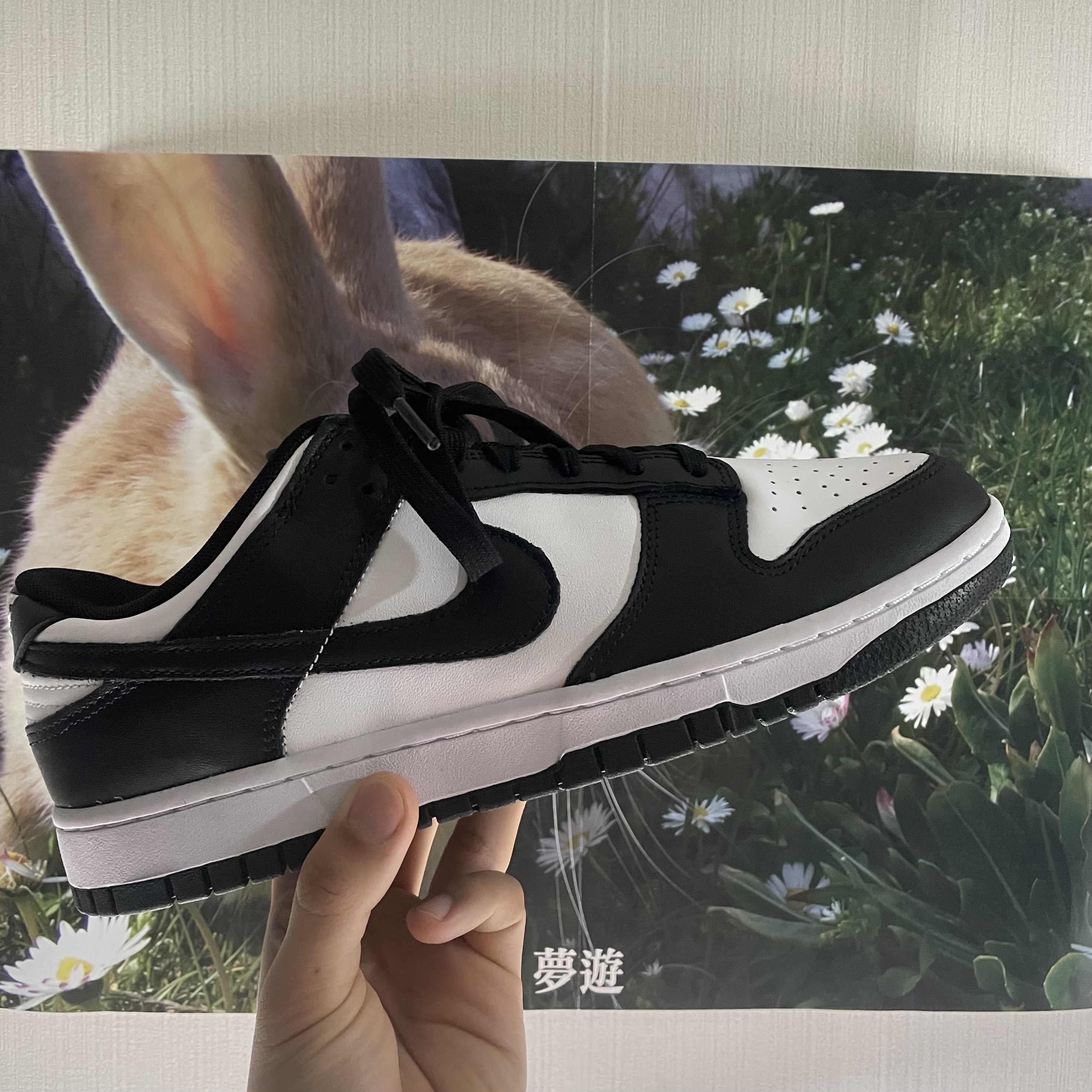 감쟈 (@du0ne) 님의 게시물 | KREAM