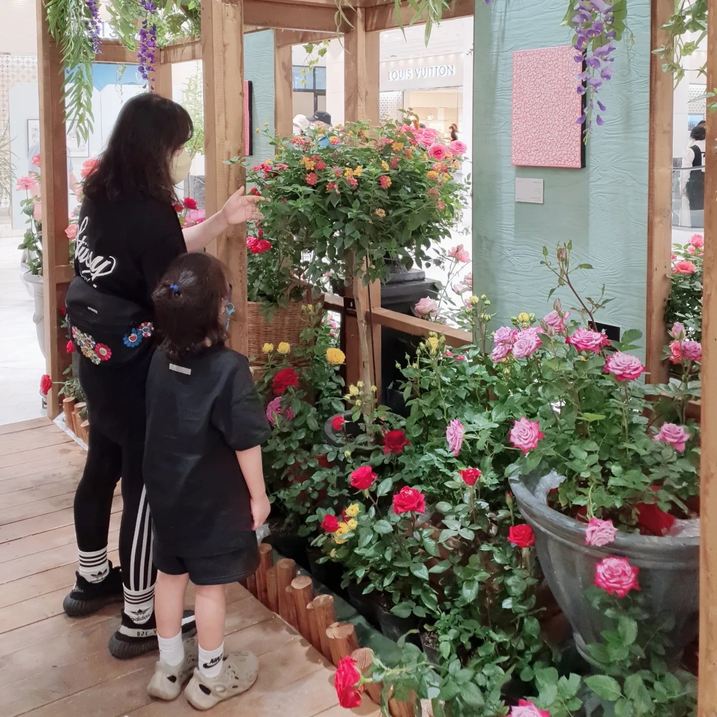 dancergu (@zoom_c) 님의 게시물 | KREAM