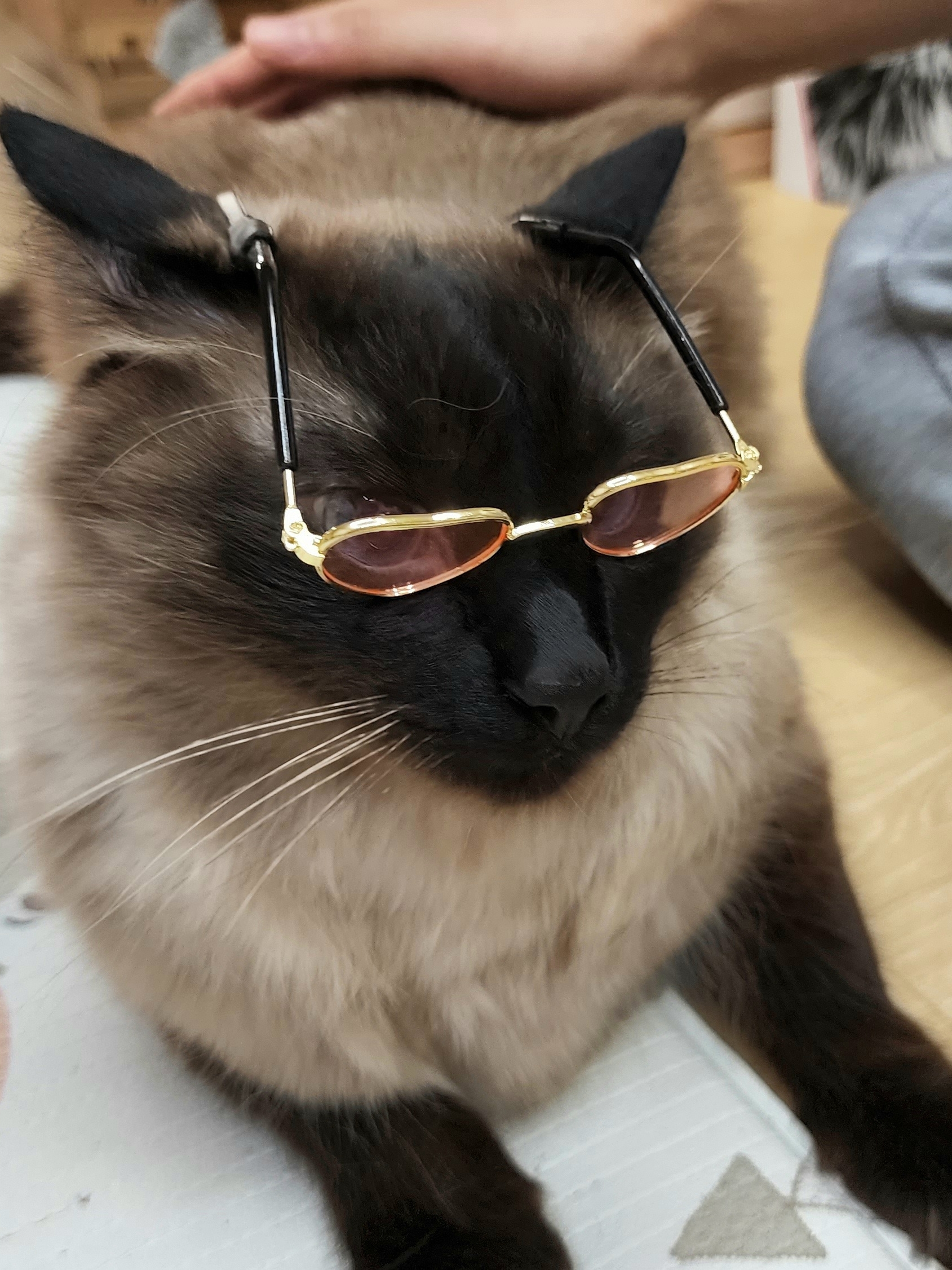 🌙 (@asdfghj) 님의 게시물 | KREAM