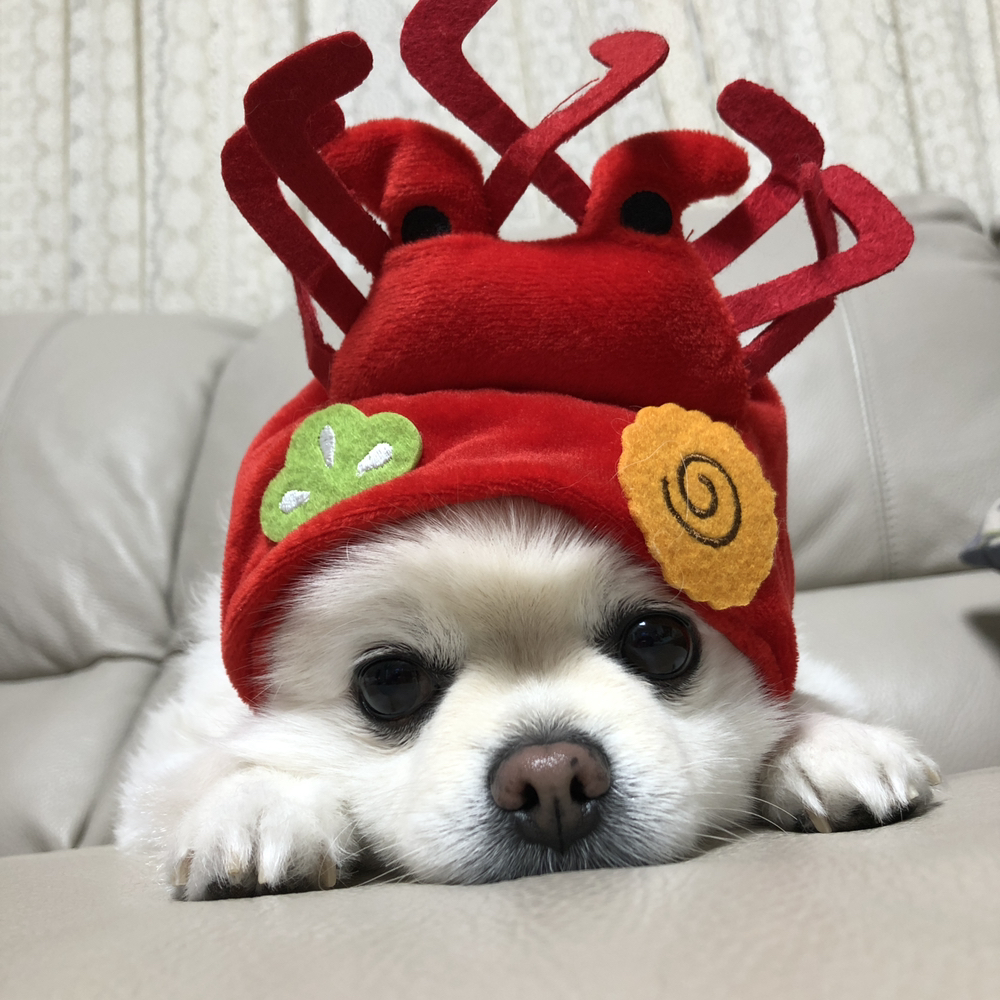 단비 (@um.d_b) 님의 게시물 | KREAM