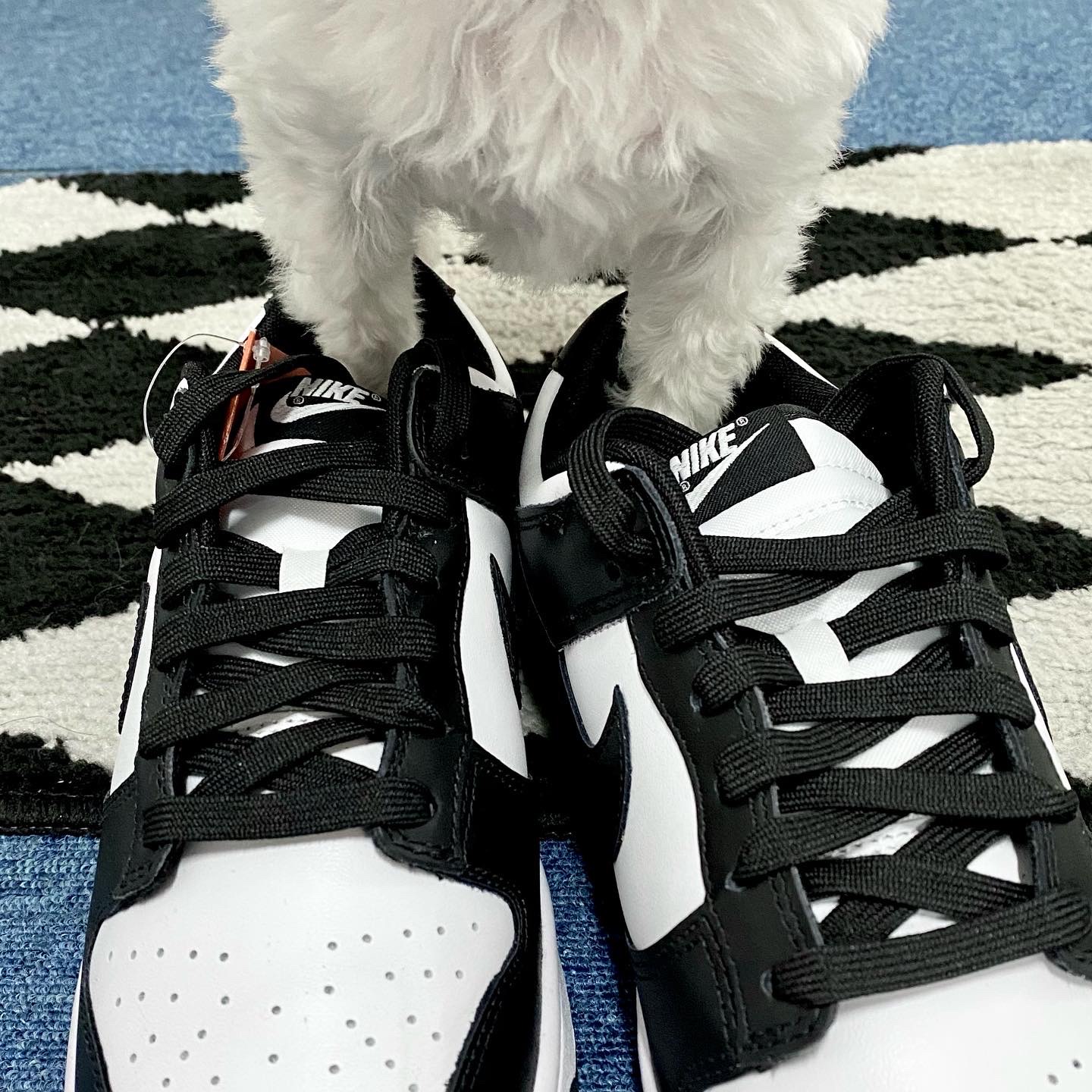 조춘식 (@jo_chunsik) 님의 게시물 | KREAM