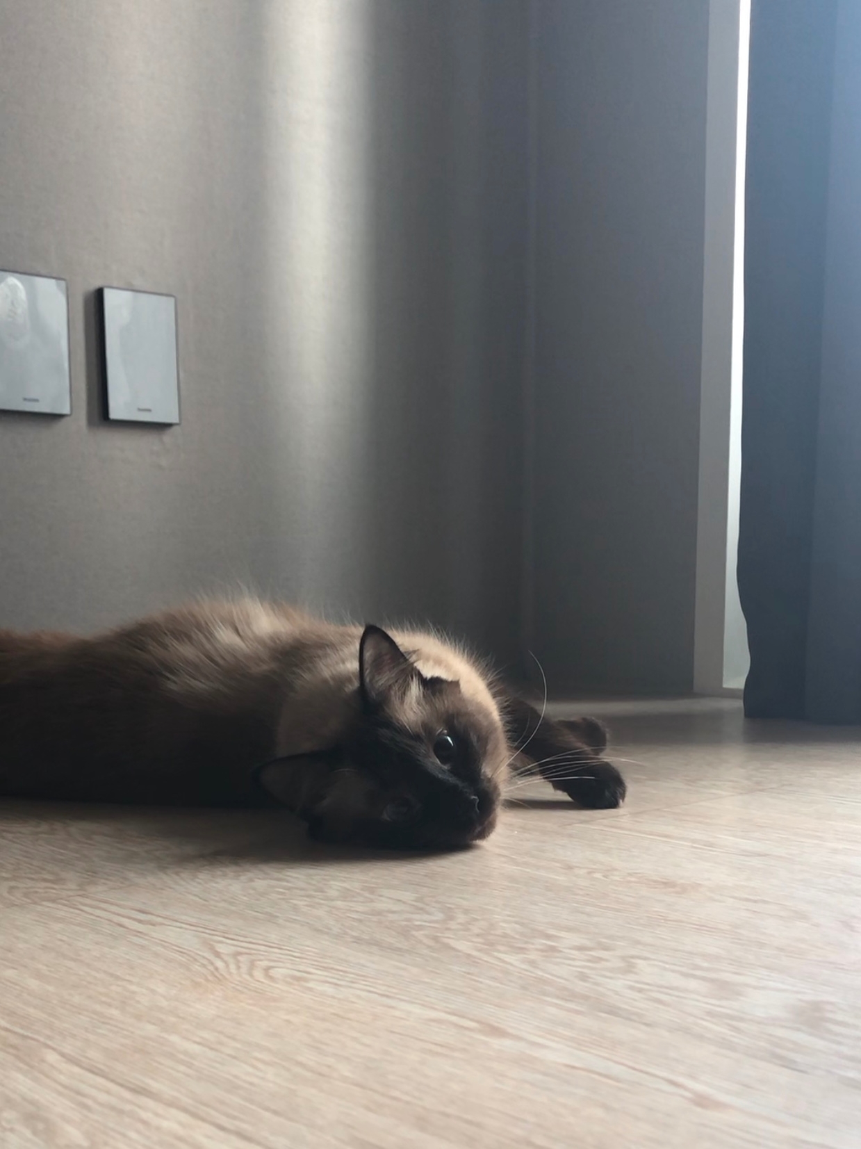 🌙 (@asdfghj) 님의 게시물 | KREAM