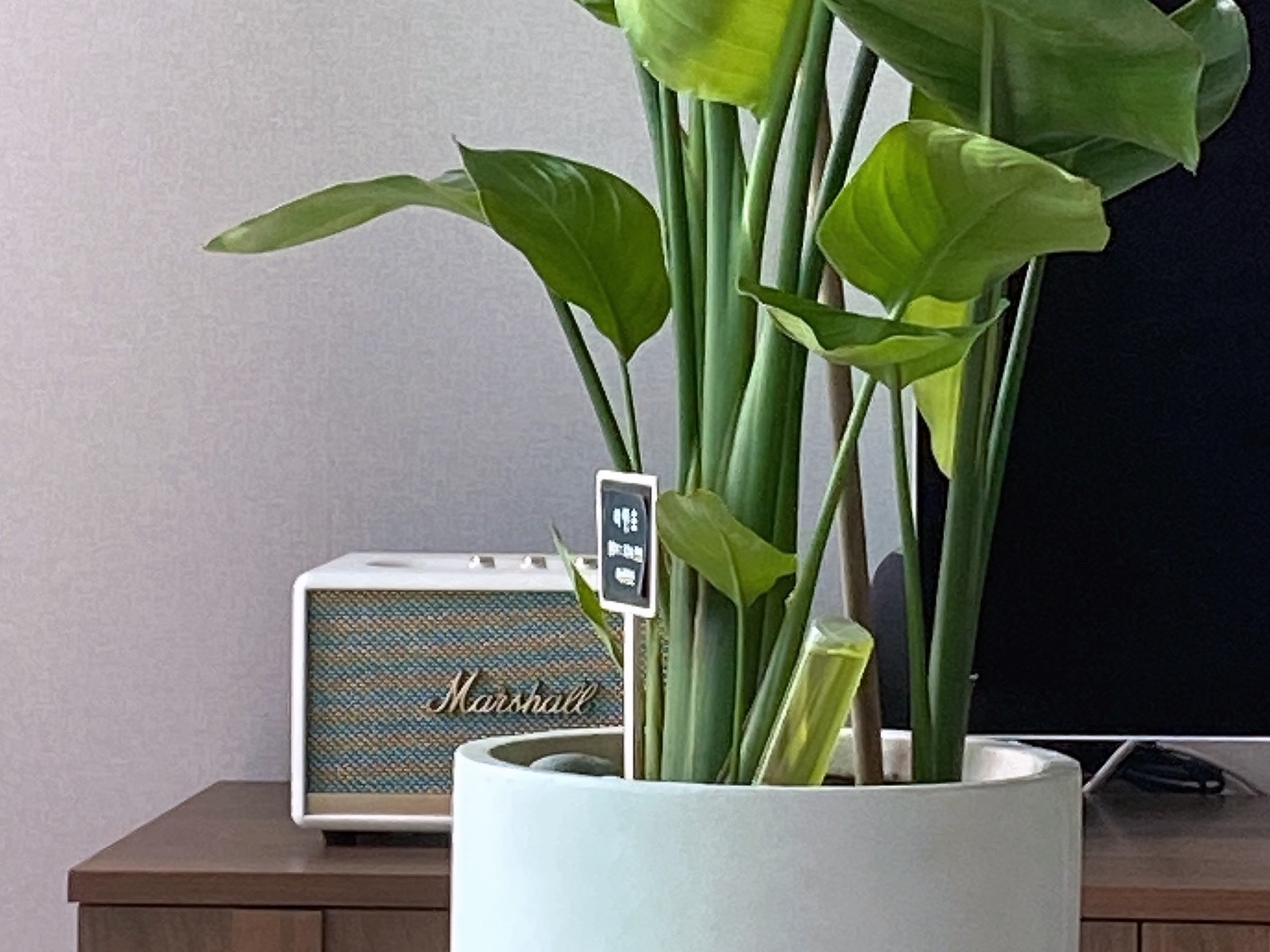 효정 (@jj_1j) 님의 게시물 | KREAM