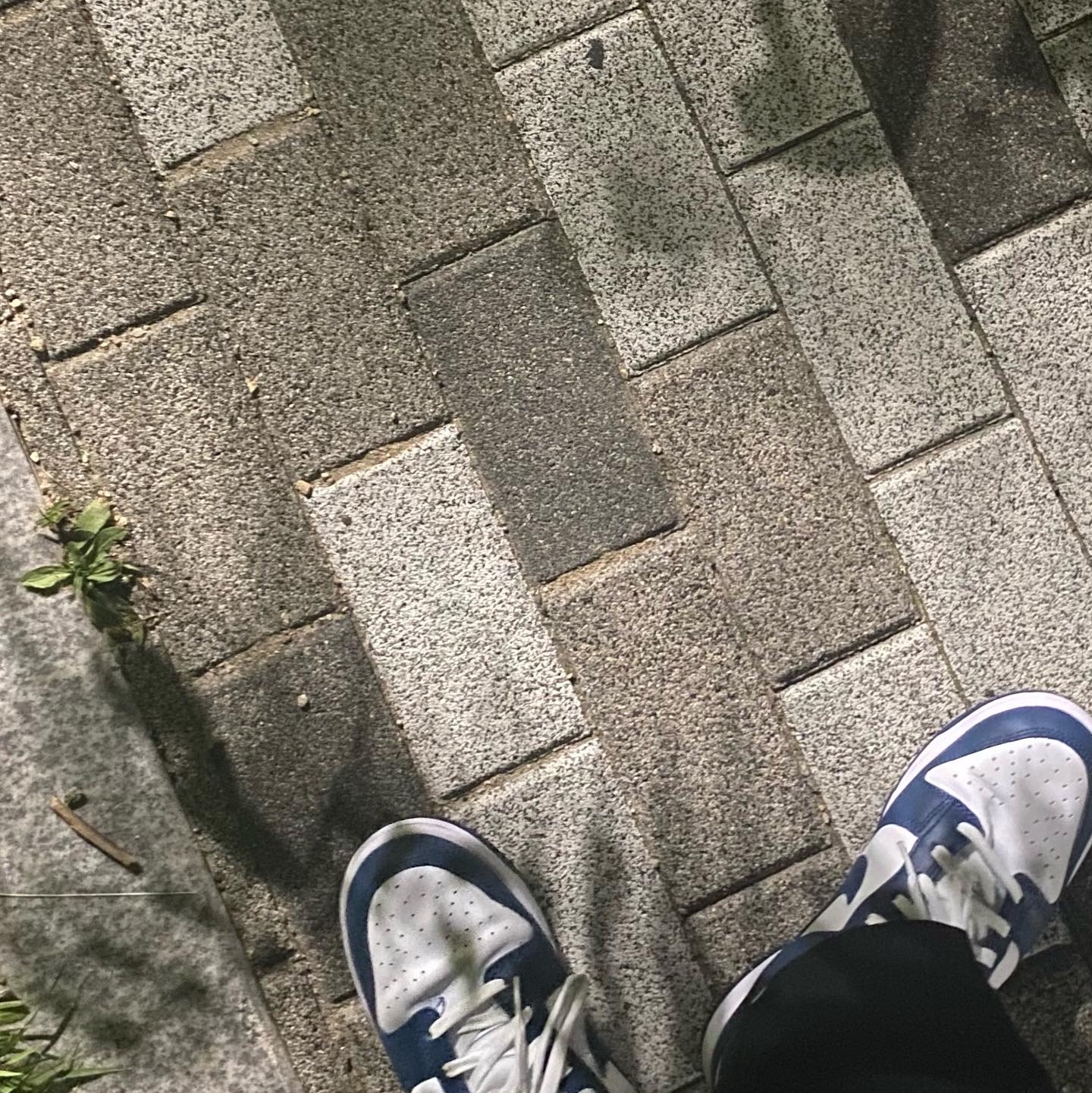 cha-11 (@chacha_11) 님의 게시물 | KREAM