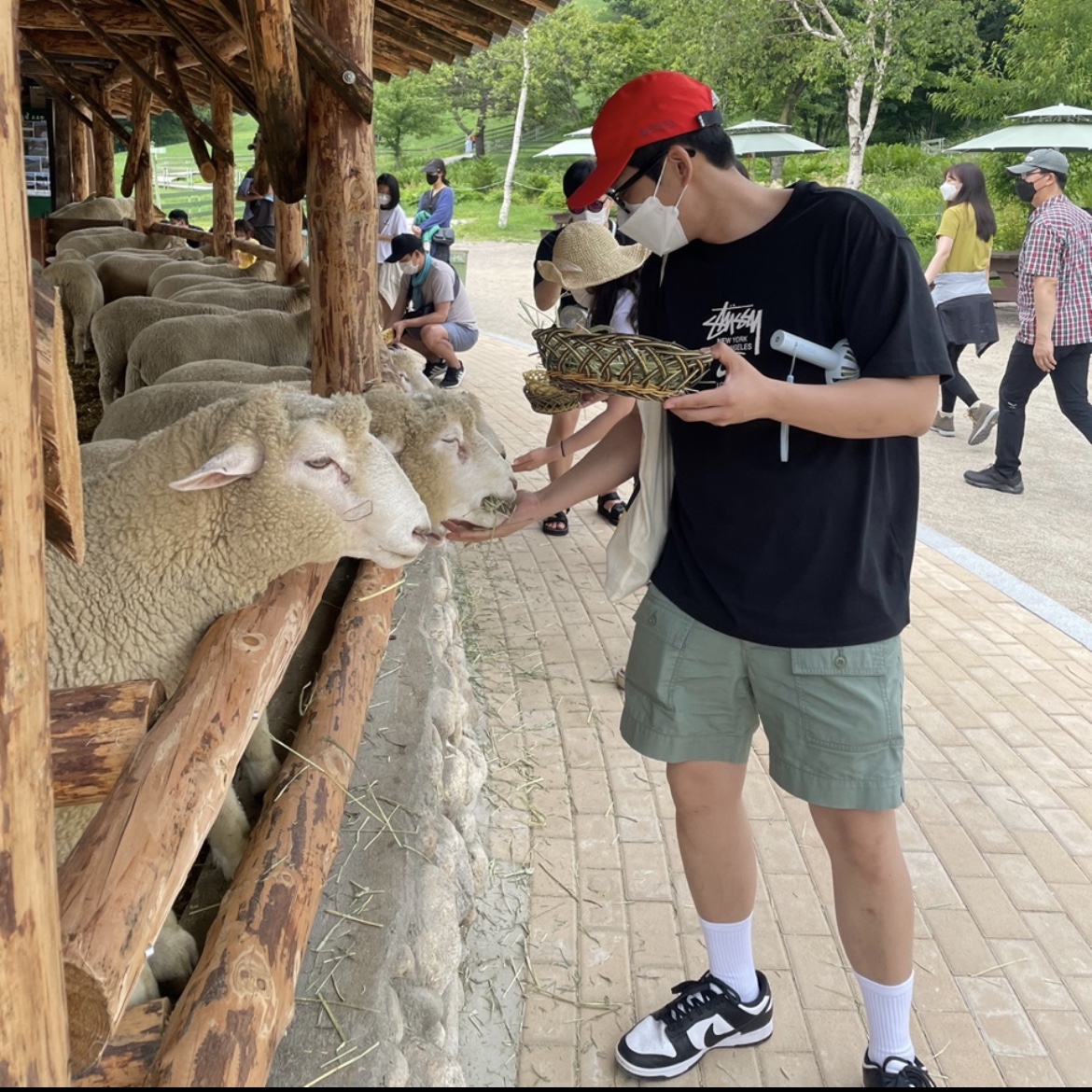 📸 (@1l_980) 님의 게시물 | KREAM