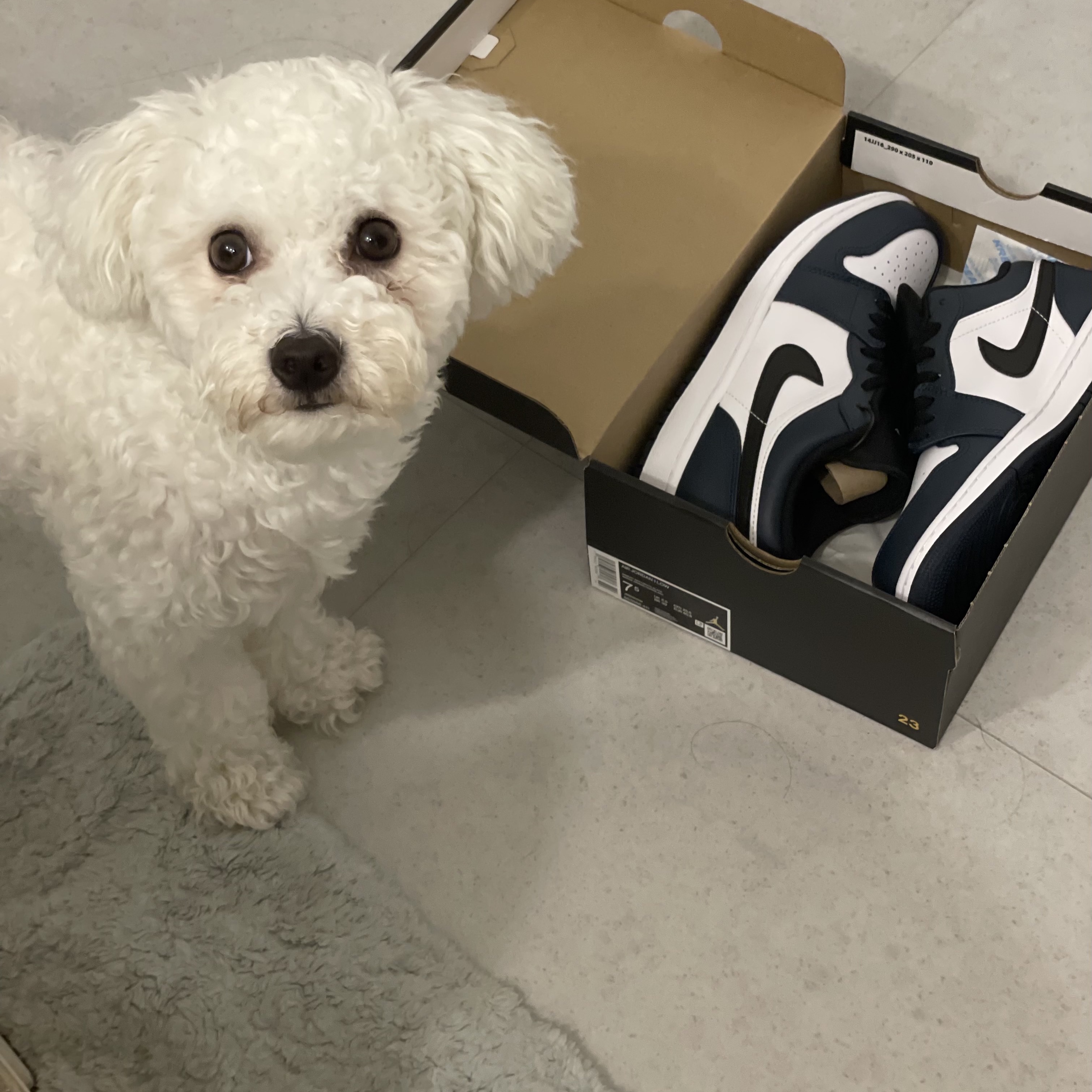 령 (@oskow) 님의 게시물 | KREAM