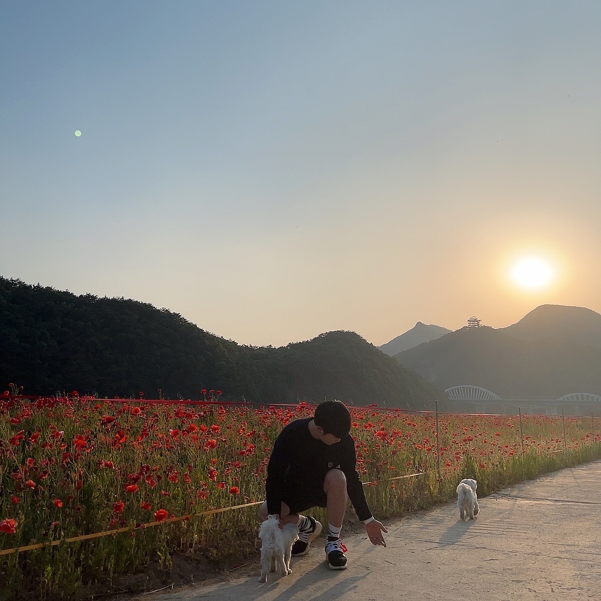 hooony_7 (@hooony_7) 님의 게시물 | KREAM