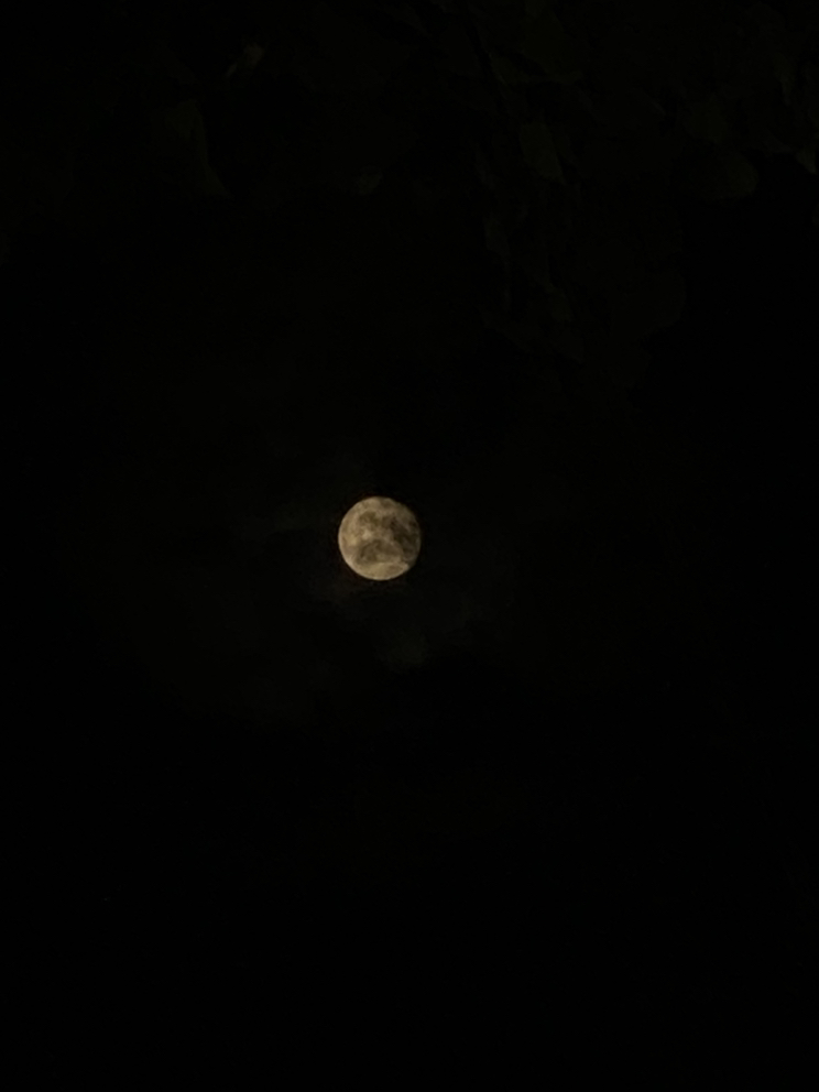 kknano1 (@dang_) 님의 게시물 | KREAM