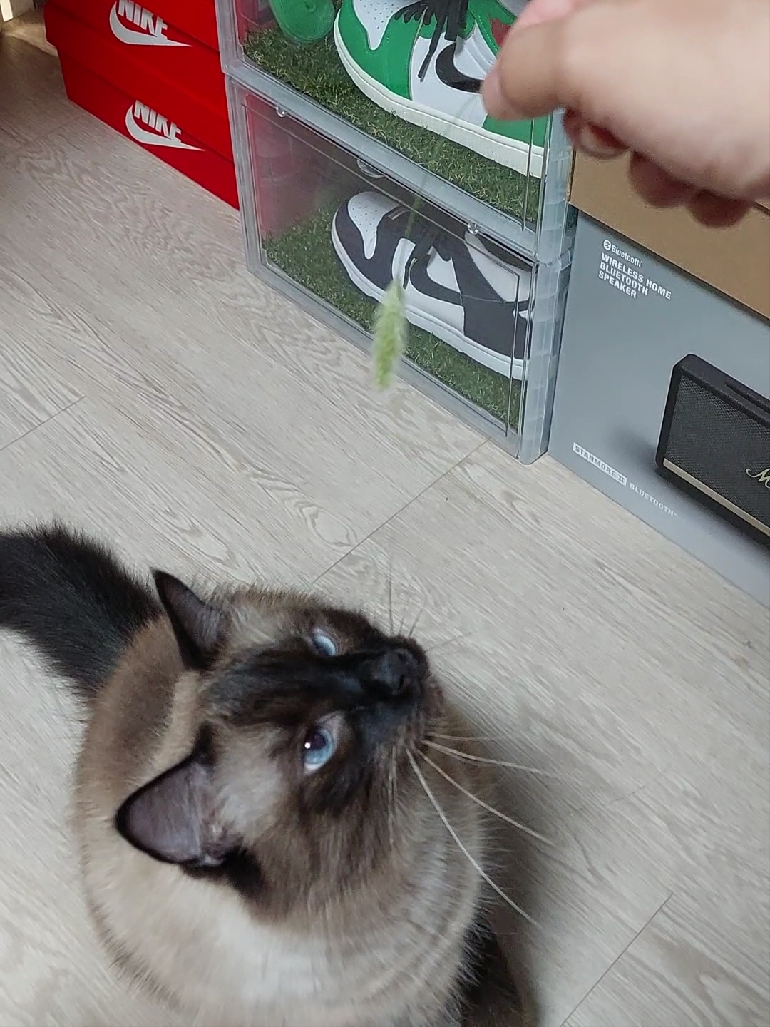 🌙 (@asdfghj) 님의 게시물 | KREAM