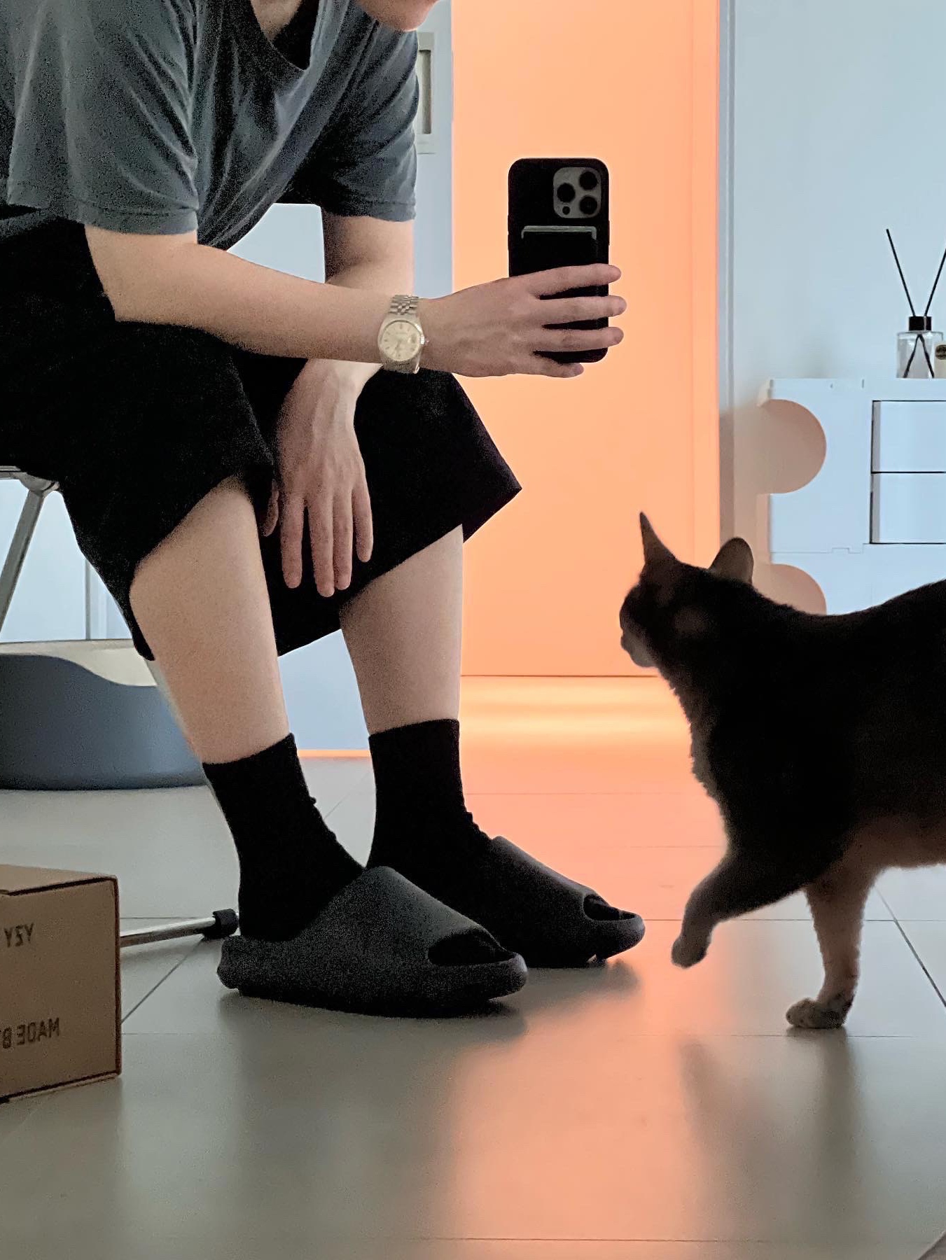 🐛 (@zi_ne) 님의 게시물 | KREAM