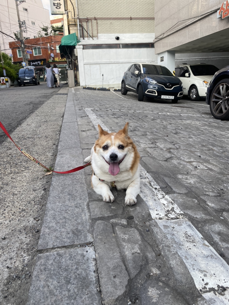 문문 (@moon.moon) 님의 게시물 | KREAM