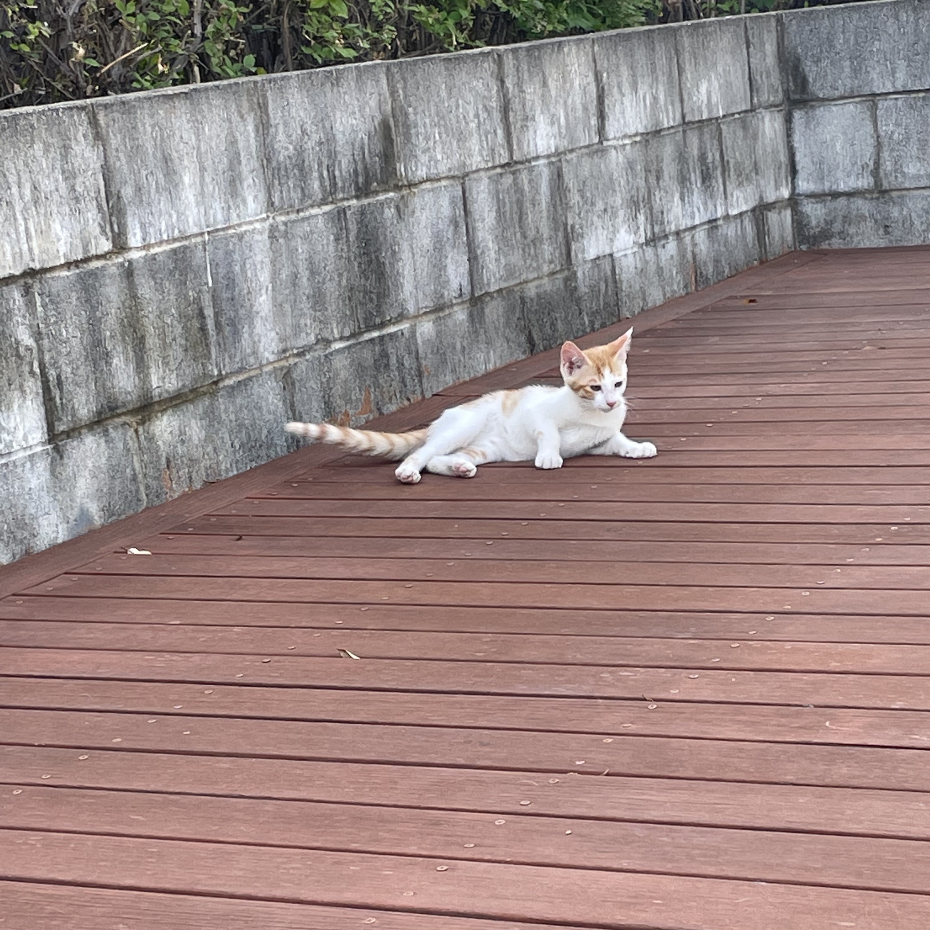 도덕경 (@2klaej) 님의 게시물 | KREAM