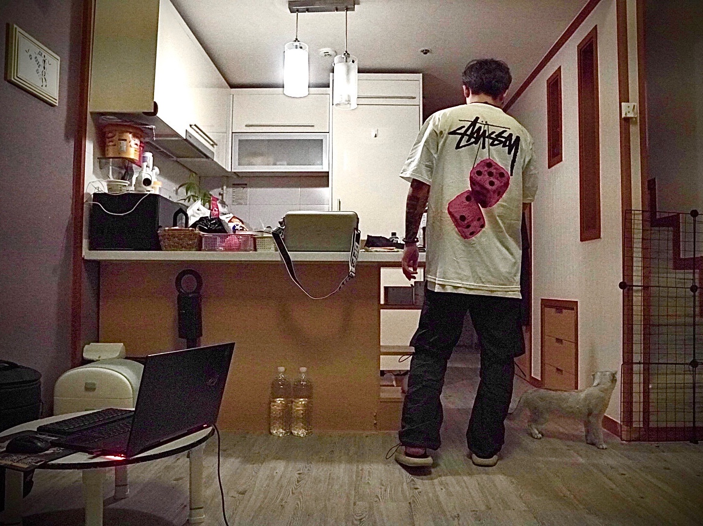 JIN JUN (@akuma_k1m) 님의 게시물 | KREAM