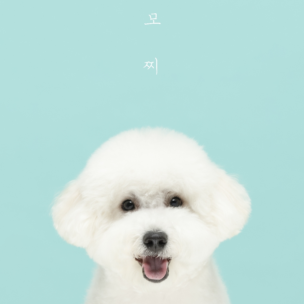 paxmundi (@mochiiii) 님의 게시물 | KREAM