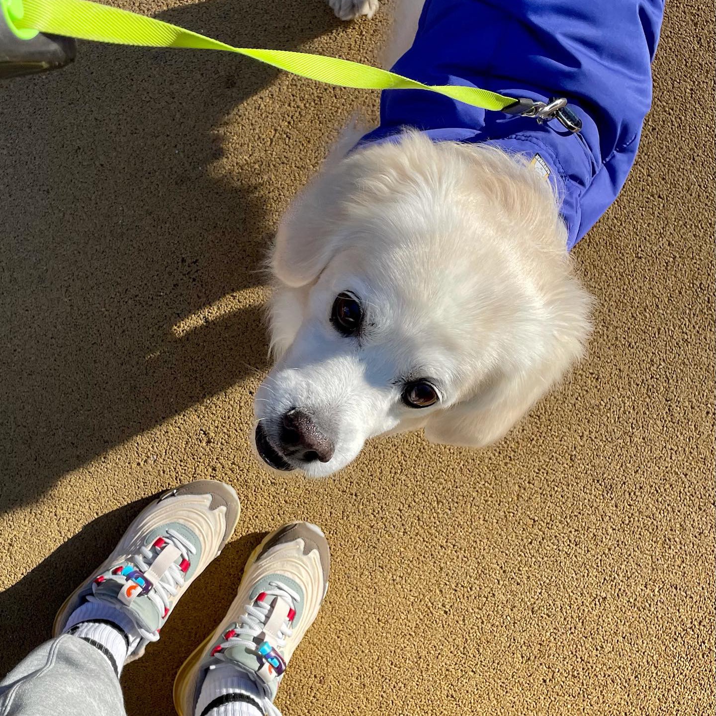 수혀닝 (@hazzi_sh) 님의 게시물 | KREAM