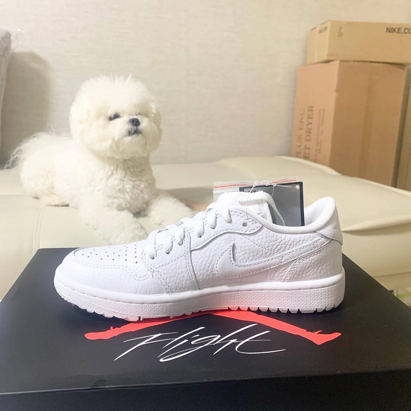 유노^^ (@yoon_ho486) 님의 게시물 | KREAM