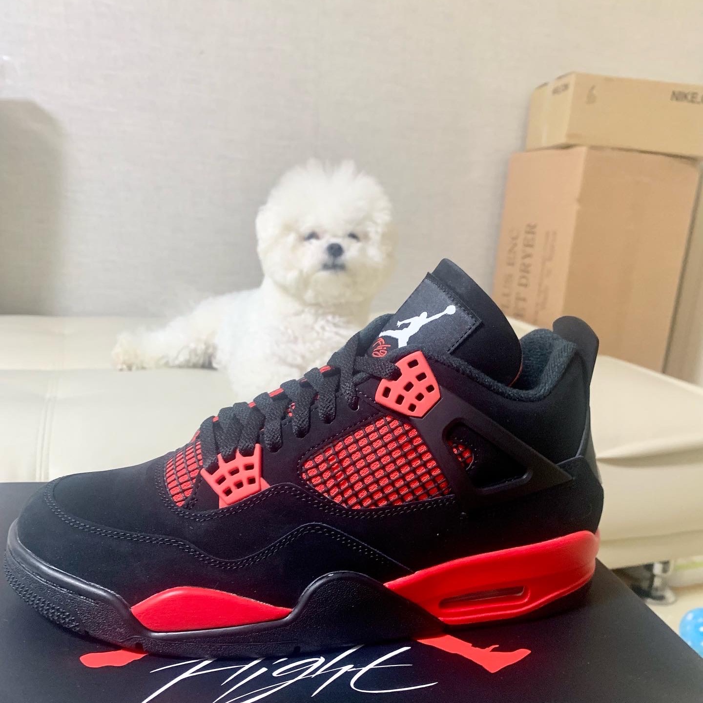 유노^^ (@yoon_ho486) 님의 게시물 | KREAM