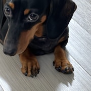 여기잇소영 (@soyoung.00) 님의 게시물 | KREAM