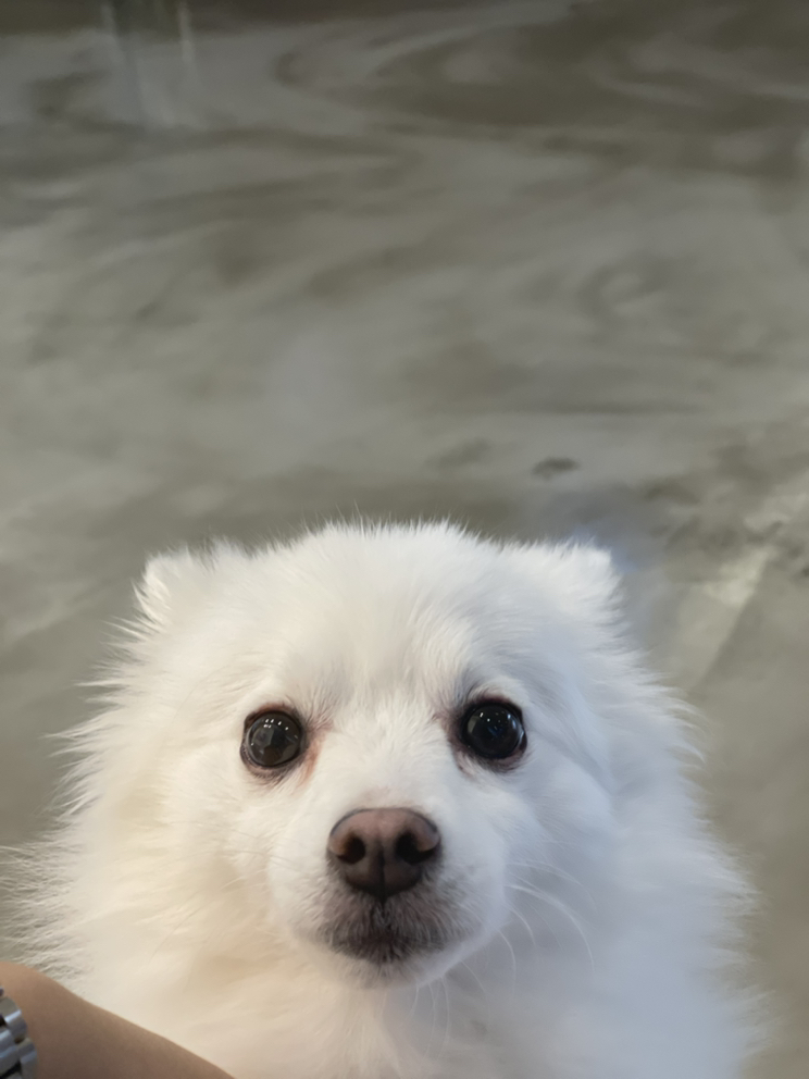 j.jin (@j_jin) 님의 게시물 | KREAM