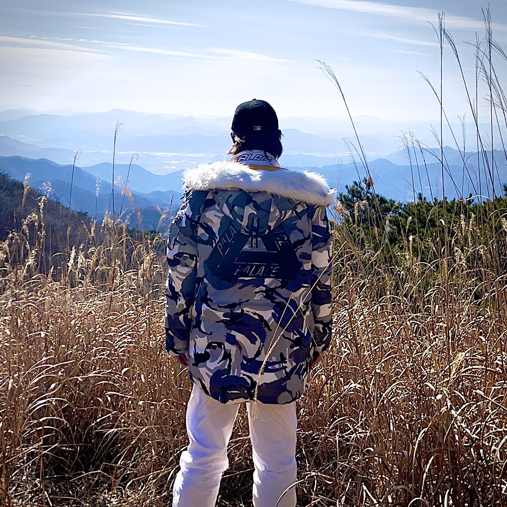 토라🐯 (@tora_) 님의 게시물 | KREAM