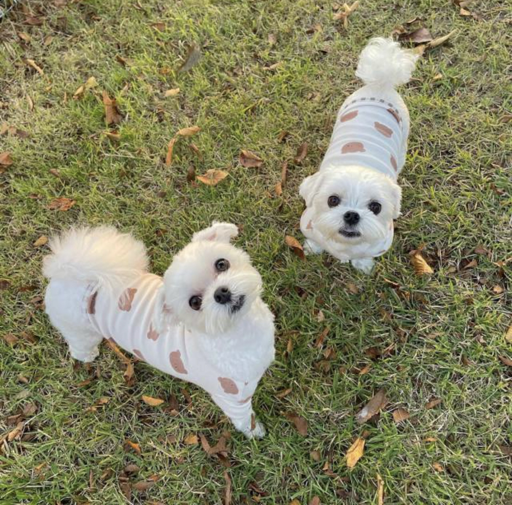 (@gu__u_lee) 님의 게시물 | KREAM