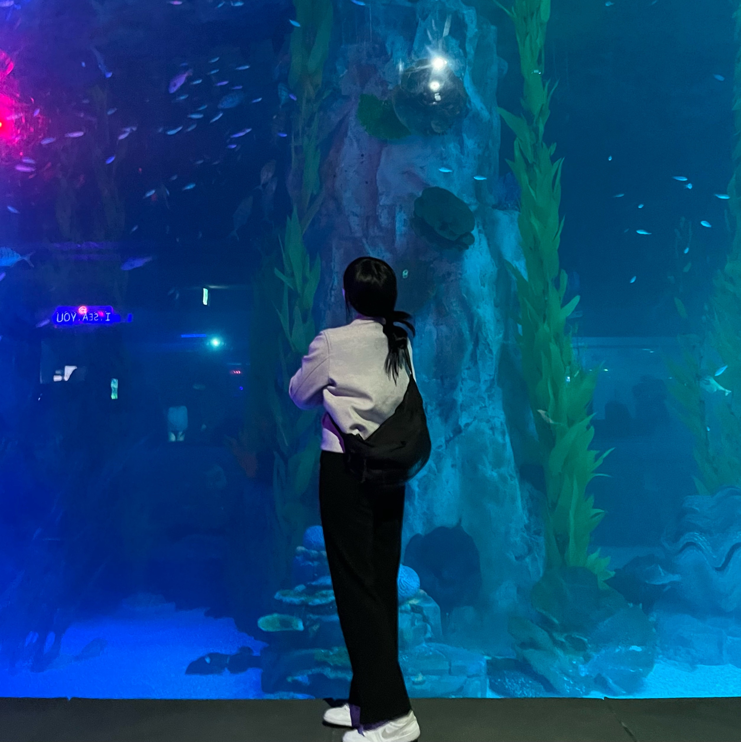 제로쨩 (@zer_o3o) 님의 게시물 | KREAM