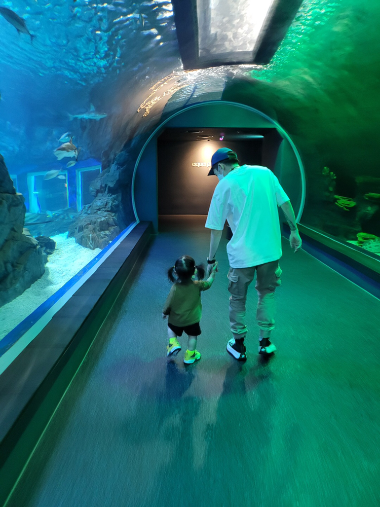 wook (@cocacola_) 님의 게시물 | KREAM