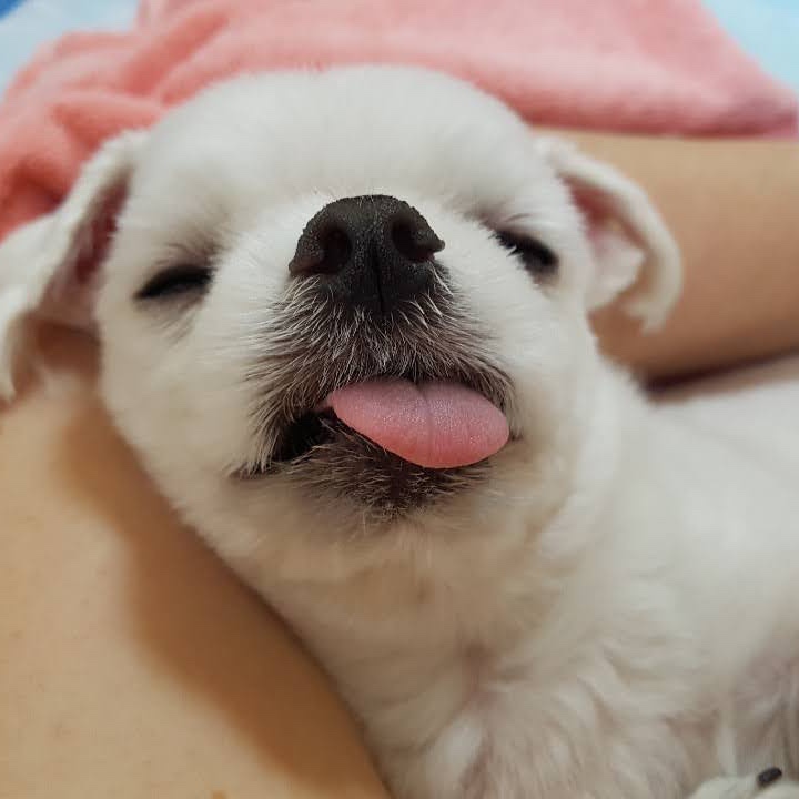 박승규 (@davepark) 님의 게시물 | KREAM