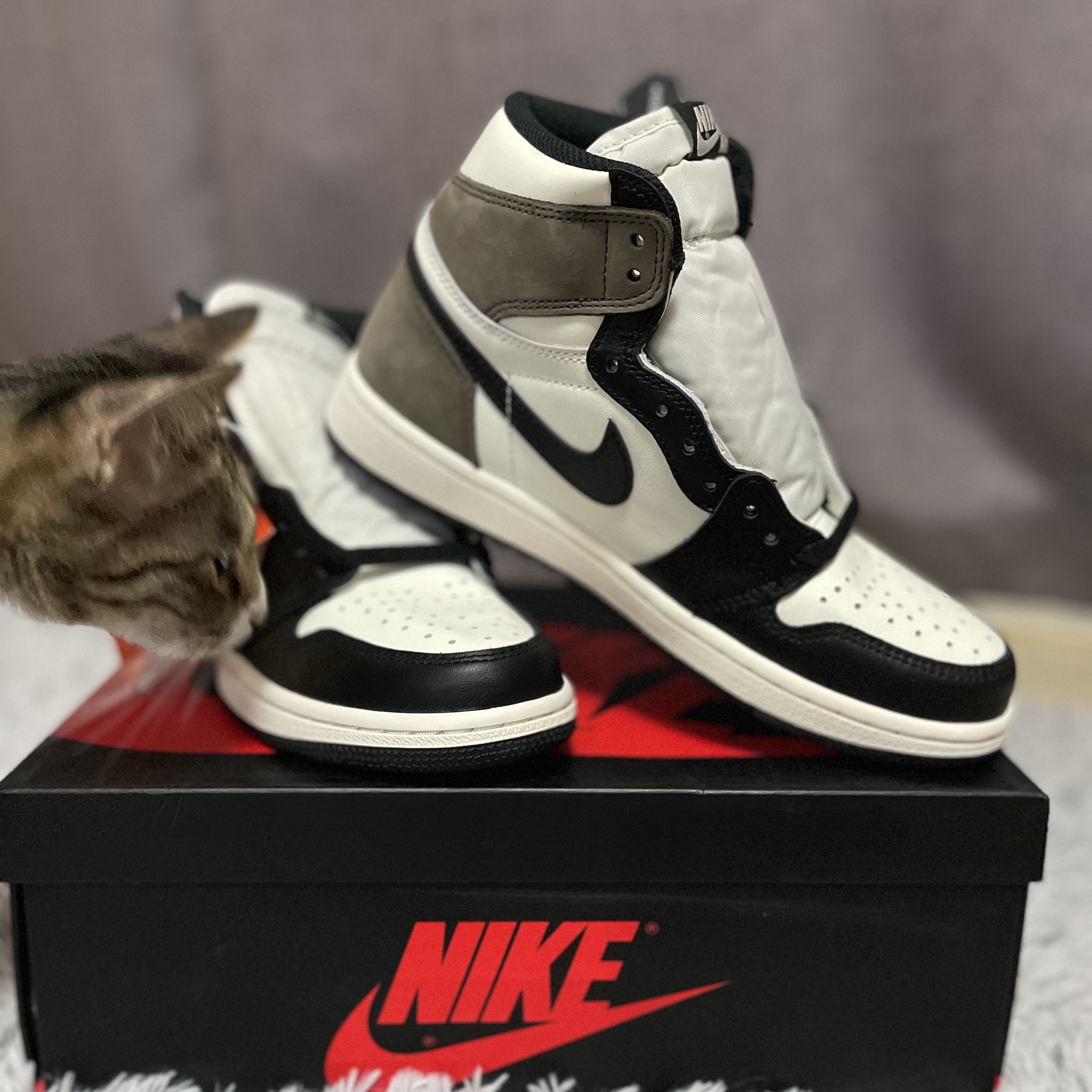 지훈 / 32 (@jihoon92) 님의 게시물 | KREAM