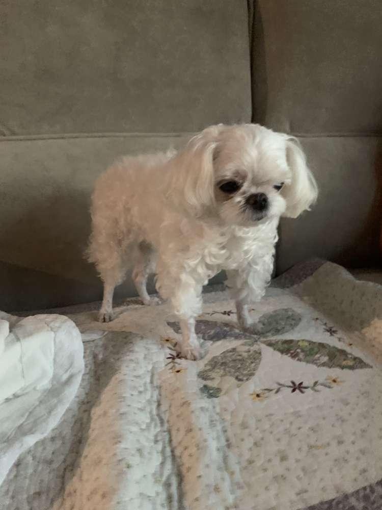 찬녜 (@cxxn.yxxnx) 님의 게시물 | KREAM