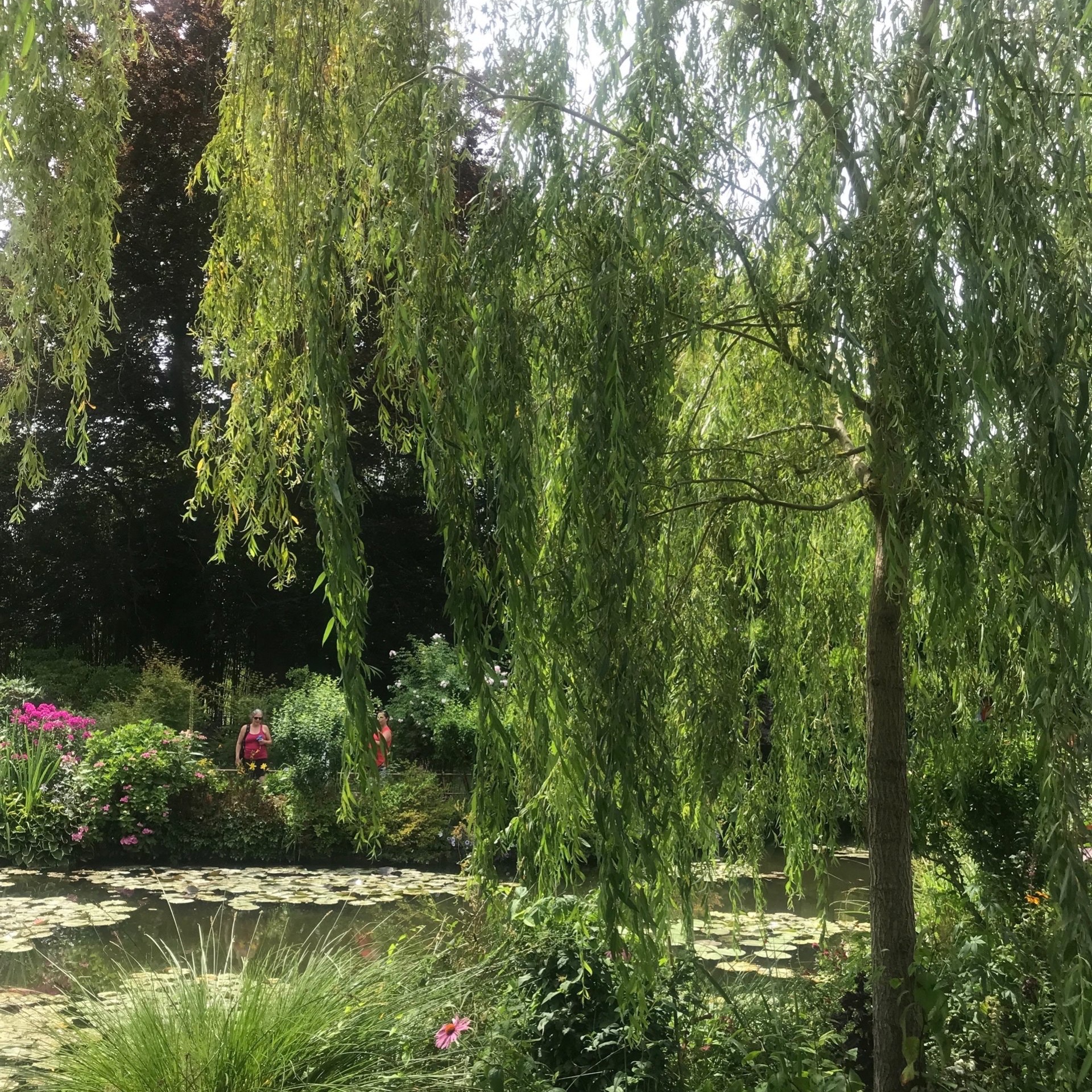 도덕경 (@2klaej) 님의 게시물 | KREAM