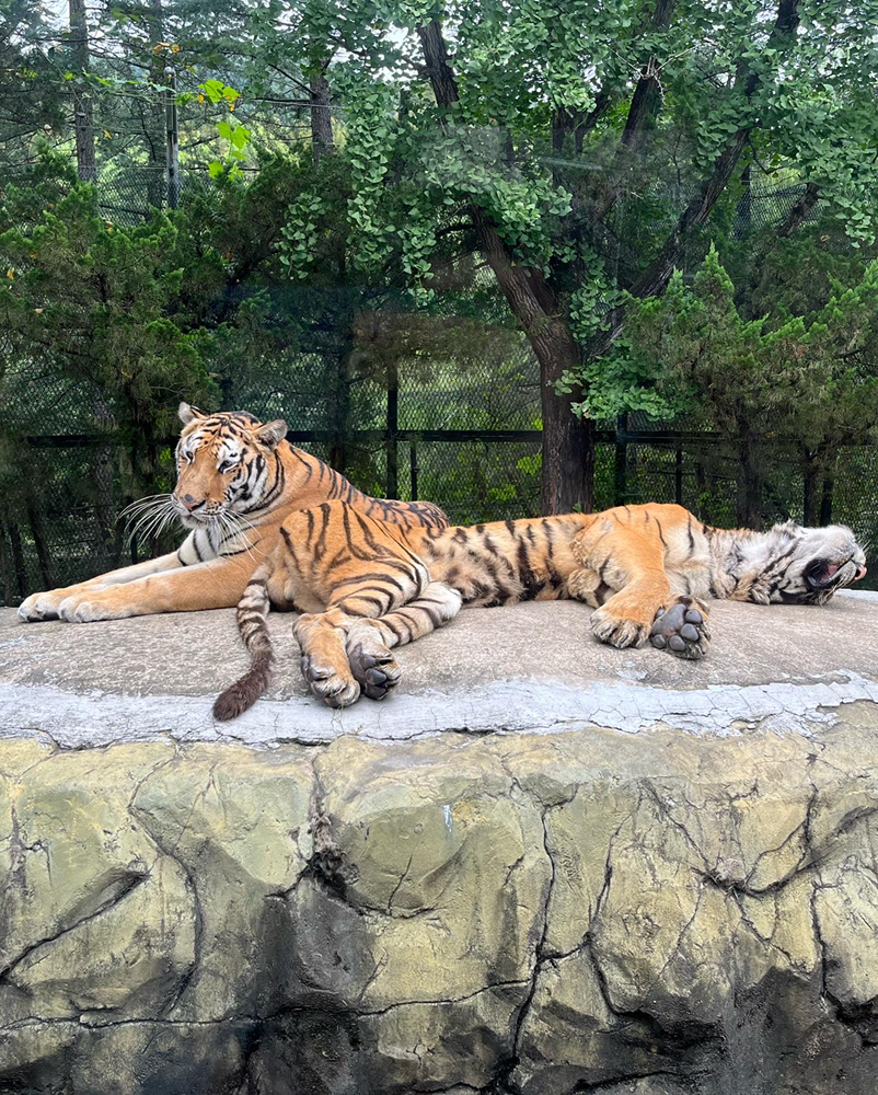 나이스아재 (@niceaj) 님의 게시물 | KREAM