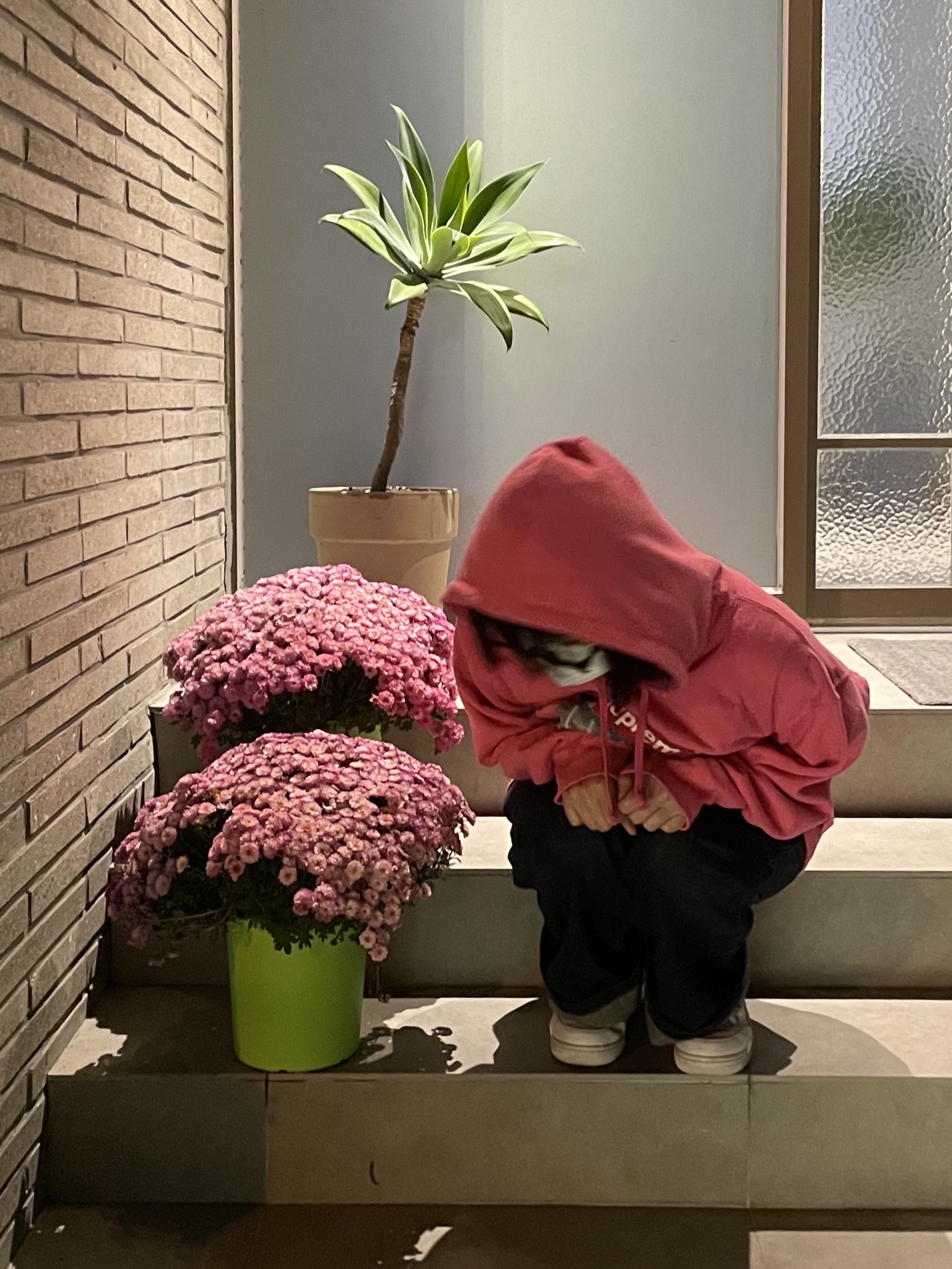 @realhongeun... (@eundamn) 님의 게시물 | KREAM