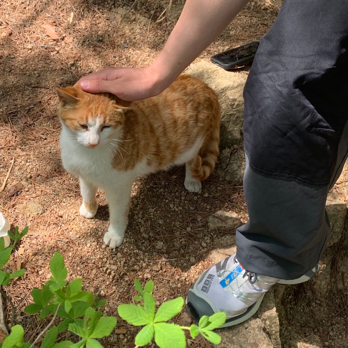 khp (@river_san) 님의 게시물 | KREAM