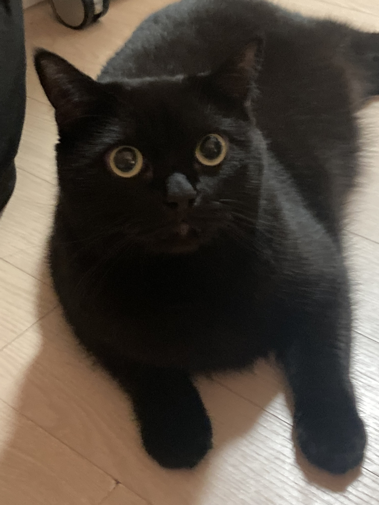 (@da_h0000n) 님의 게시물 | KREAM