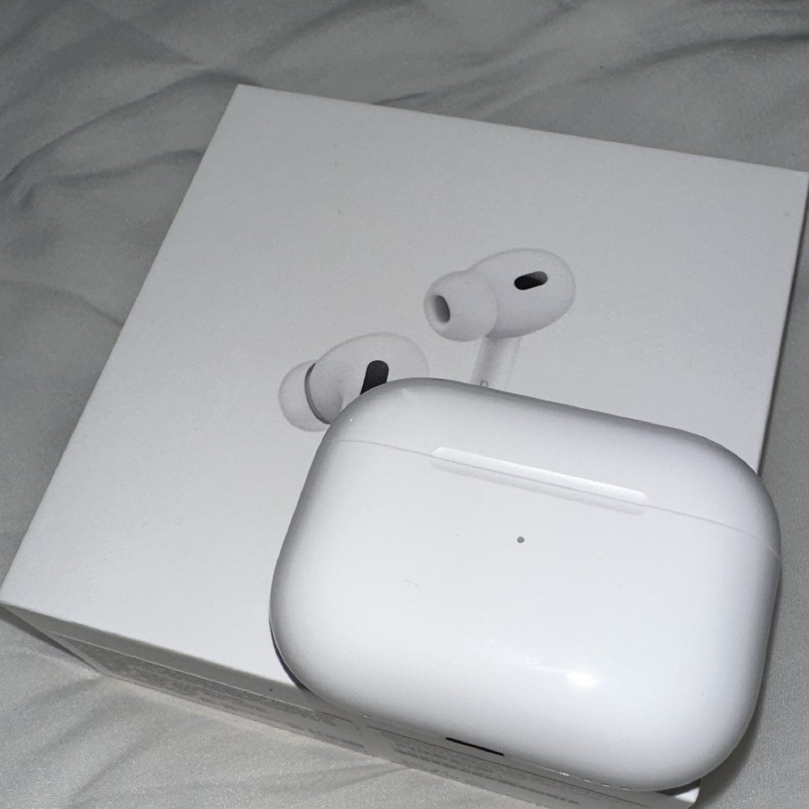 가민 (@goo_push) 님의 게시물 | KREAM