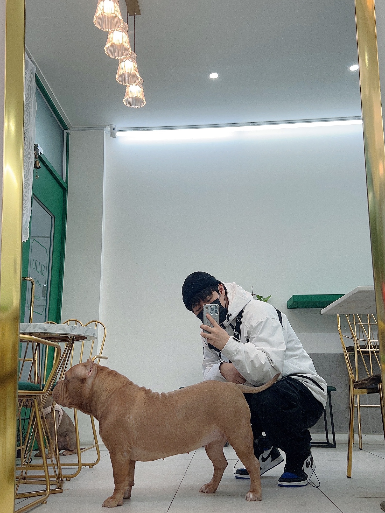 보드카마신불곰 (@sasha_96) 님의 게시물 | KREAM