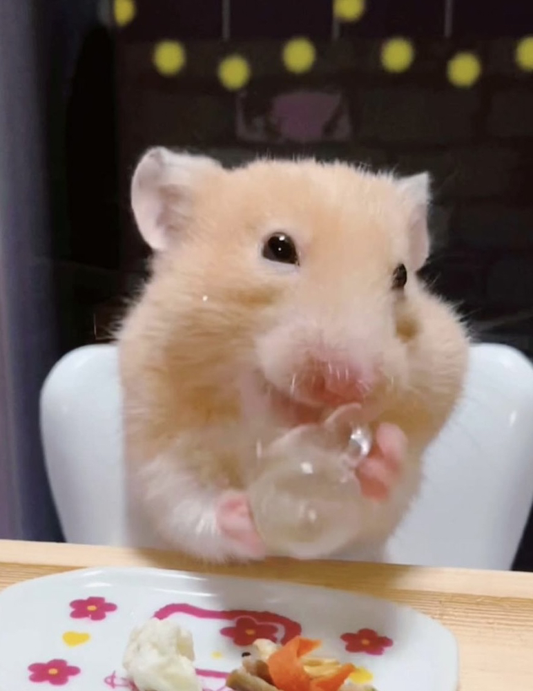 홍정민 (@hh_0ng_) 님의 게시물 | KREAM