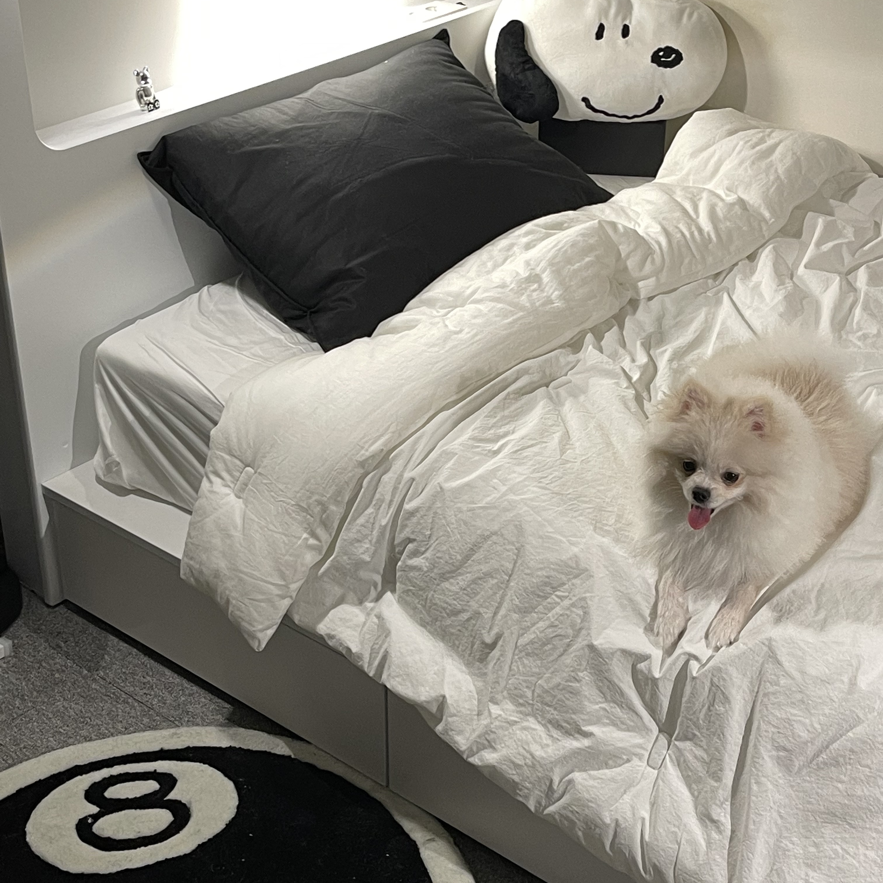 Enty (@enty_) 님의 게시물 | KREAM