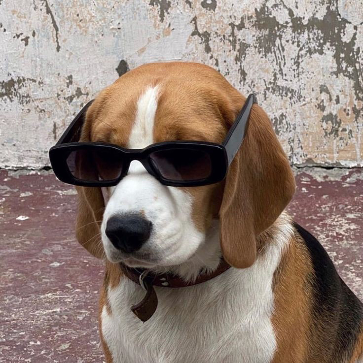 시준 (@si_jun) 님의 게시물 | KREAM