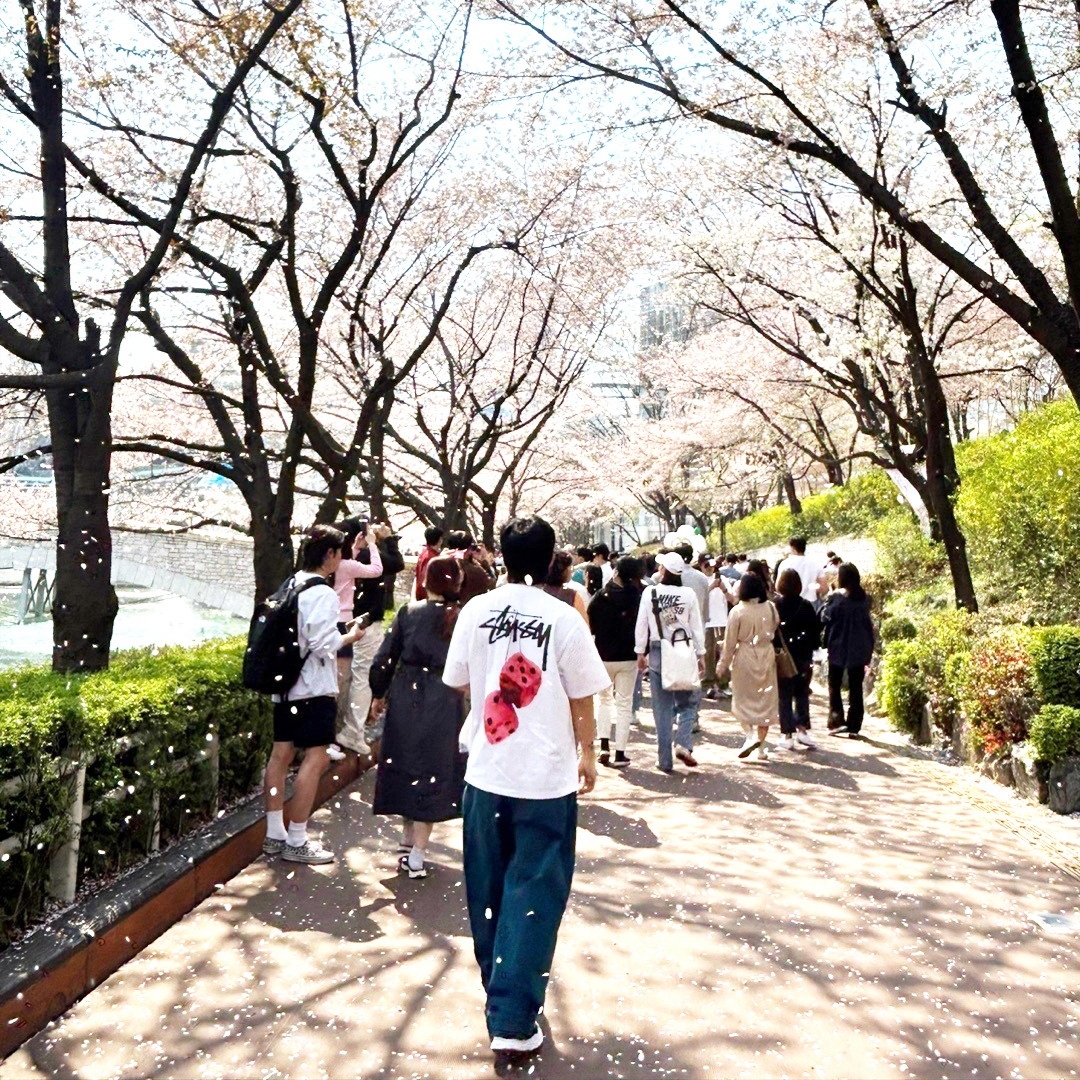 성민 (@jay_min) 님의 게시물 | KREAM