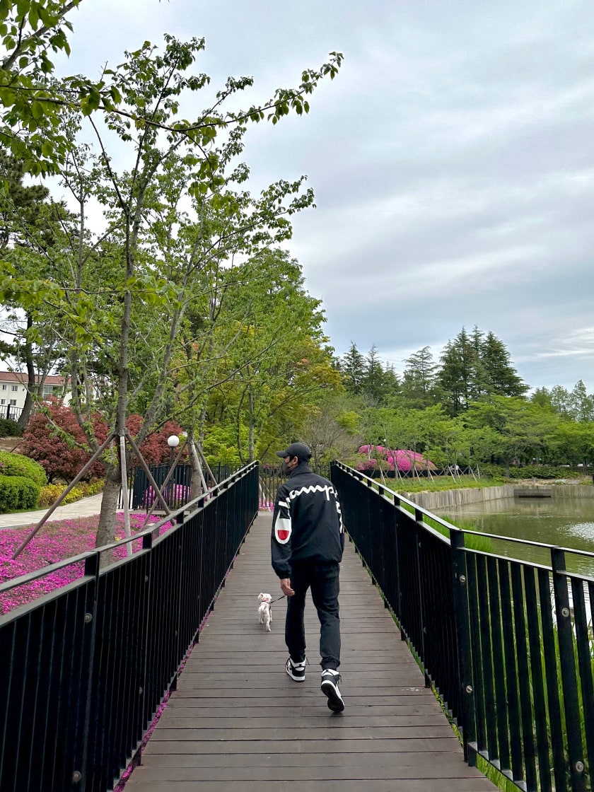 Supreme Champion Trac... STYLE | KREAM