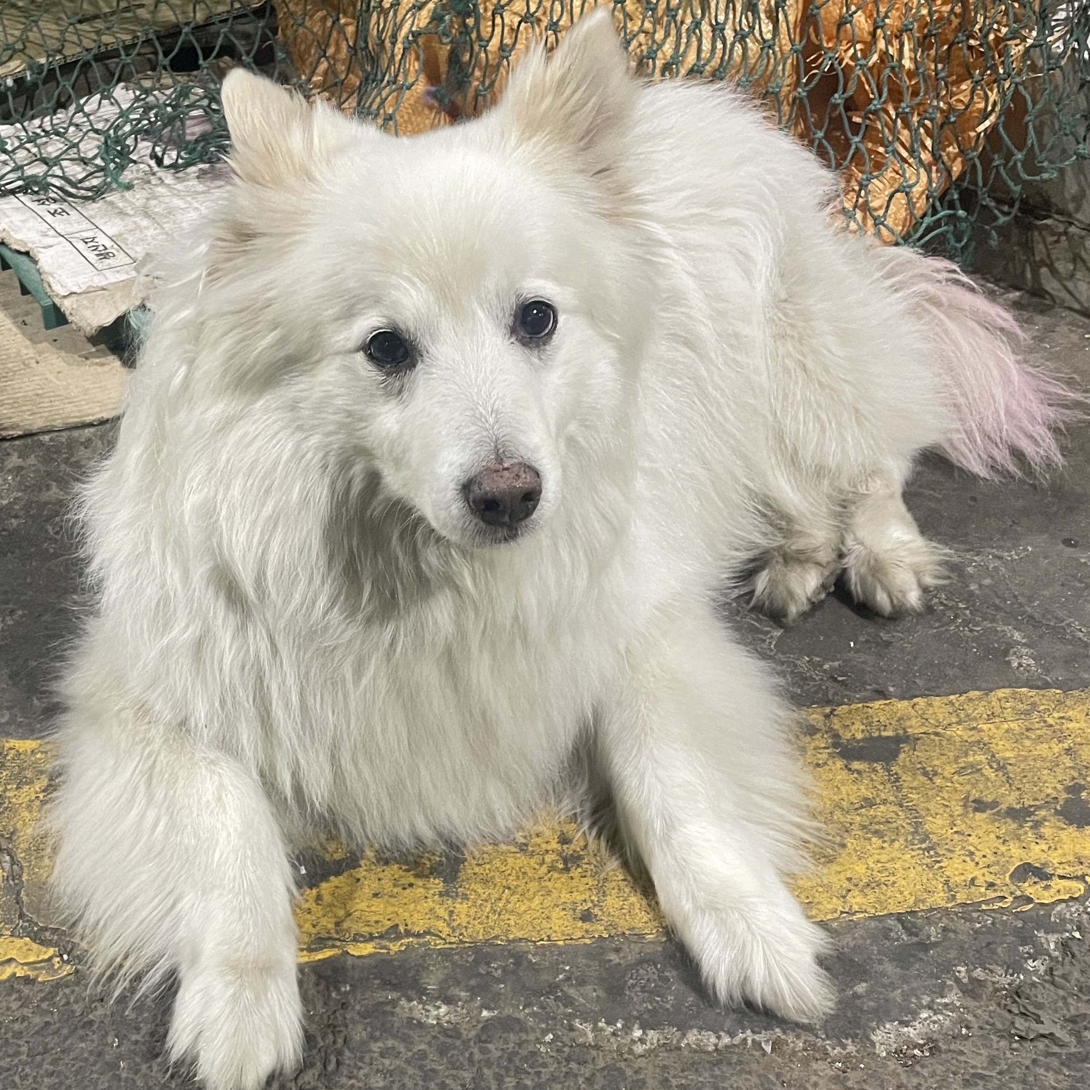 도덕경 (@2klaej) 님의 게시물 | KREAM