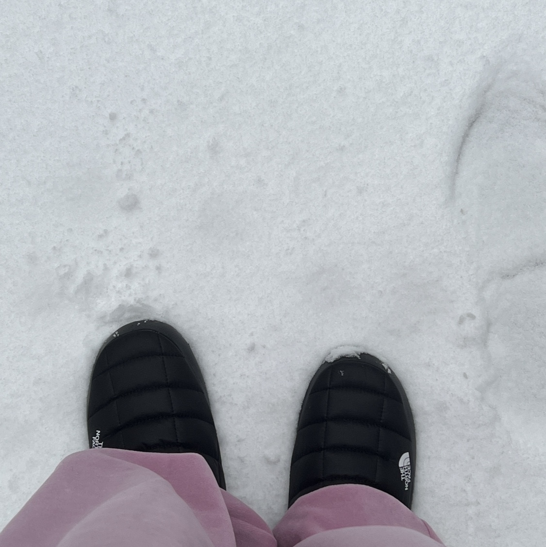 존예템 탐색기 (@zonyeah) 님의 게시물 | KREAM