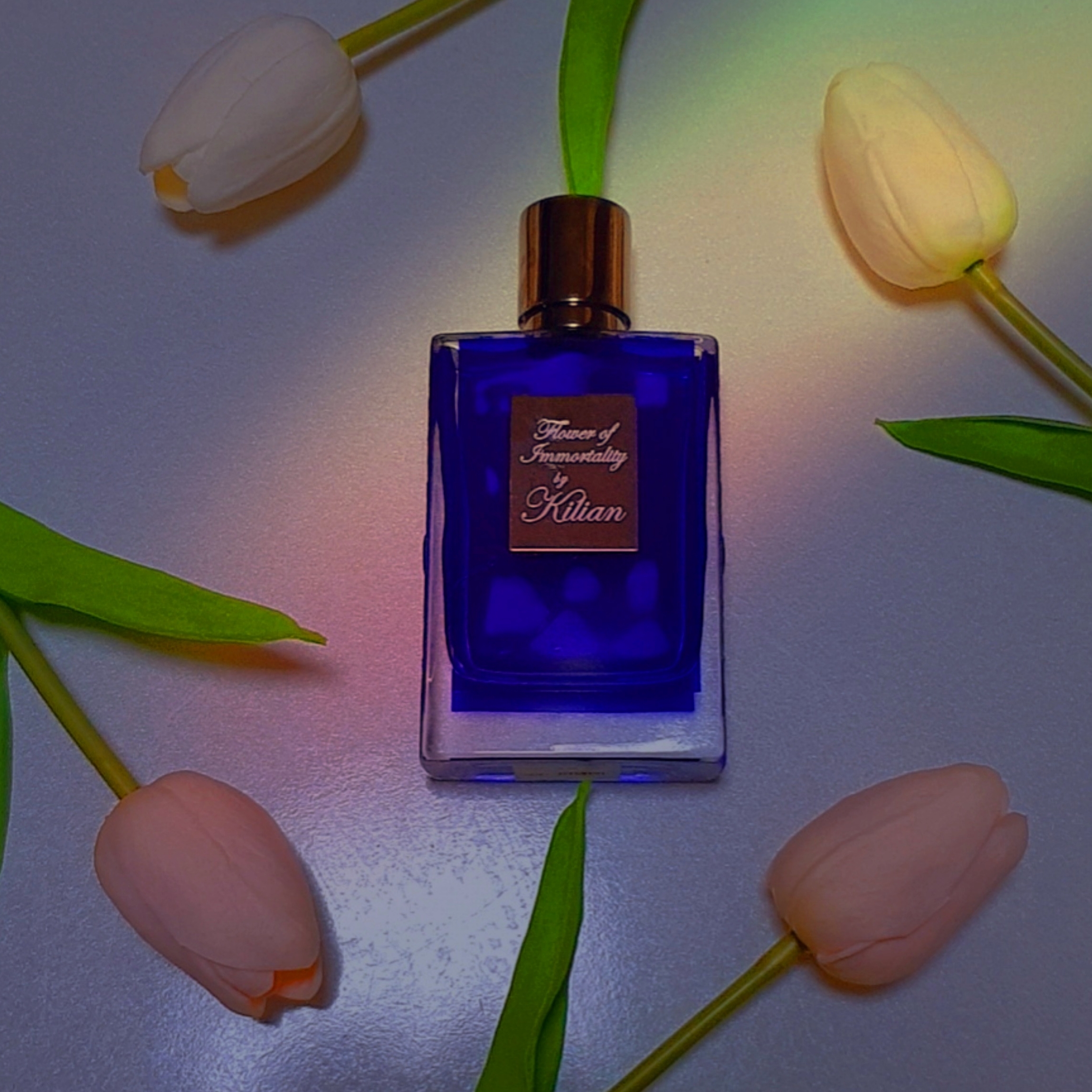 인🌟 >>&... (@engelbe) 님의 게시물 | KREAM