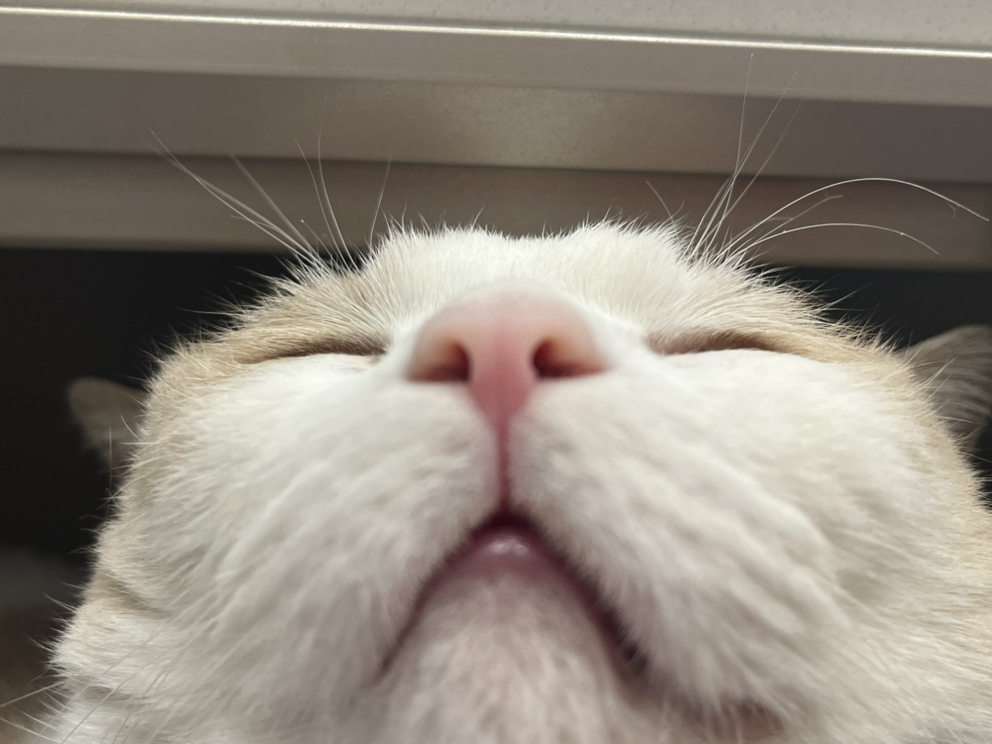 우리 (@jejjeeeje) 님의 게시물 | KREAM