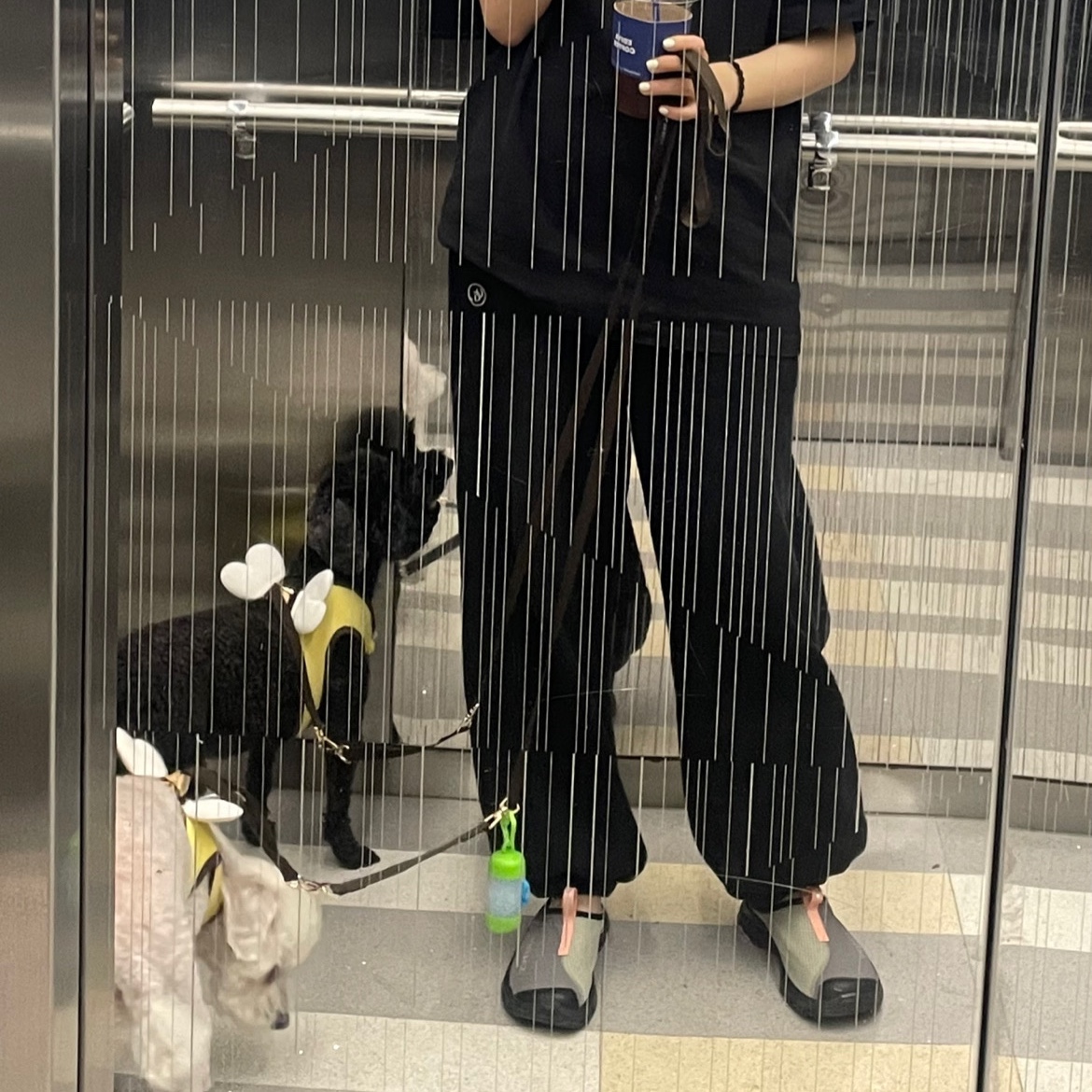 얼또 (@1130.xox) 님의 게시물 | KREAM