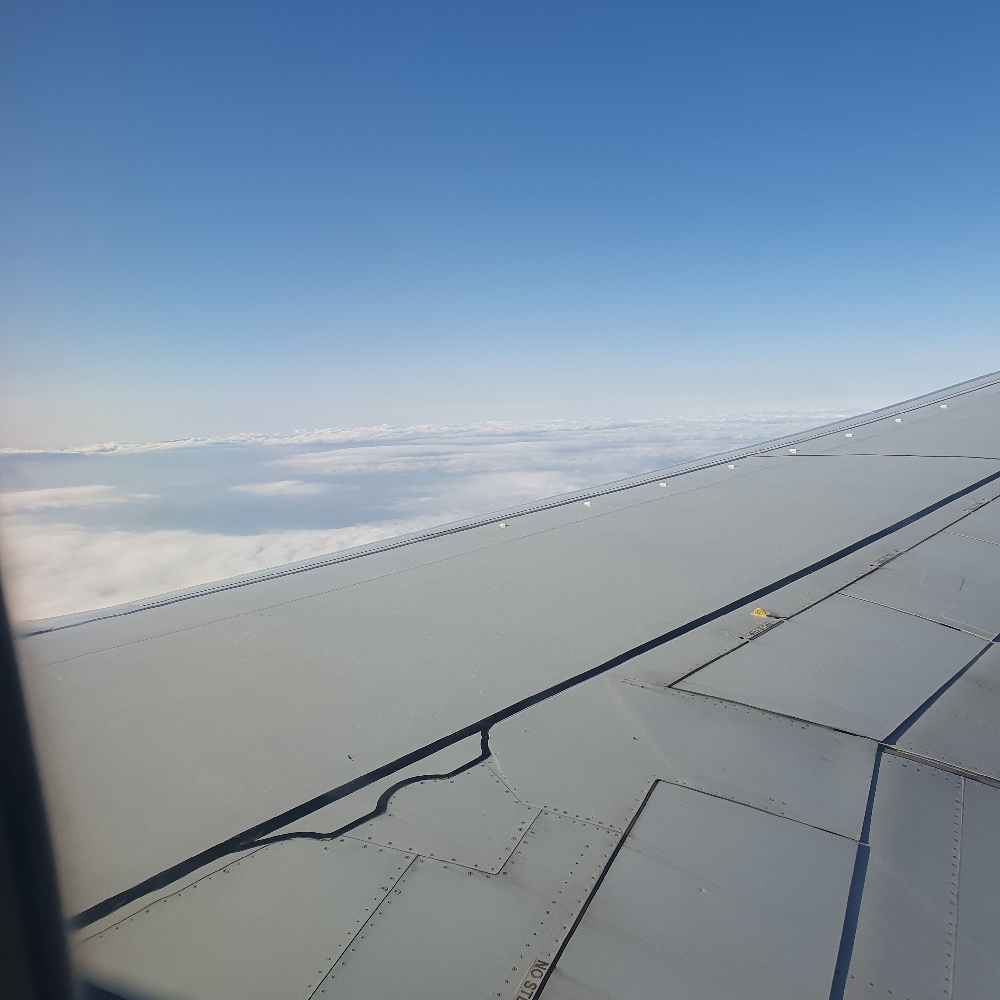 hjsno13 (@hjsno13) 님의 게시물 | KREAM