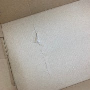 뉴발란스 1906R 실버 그린 | KREAM