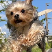 (@3vlccd) 님의 게시물 | KREAM